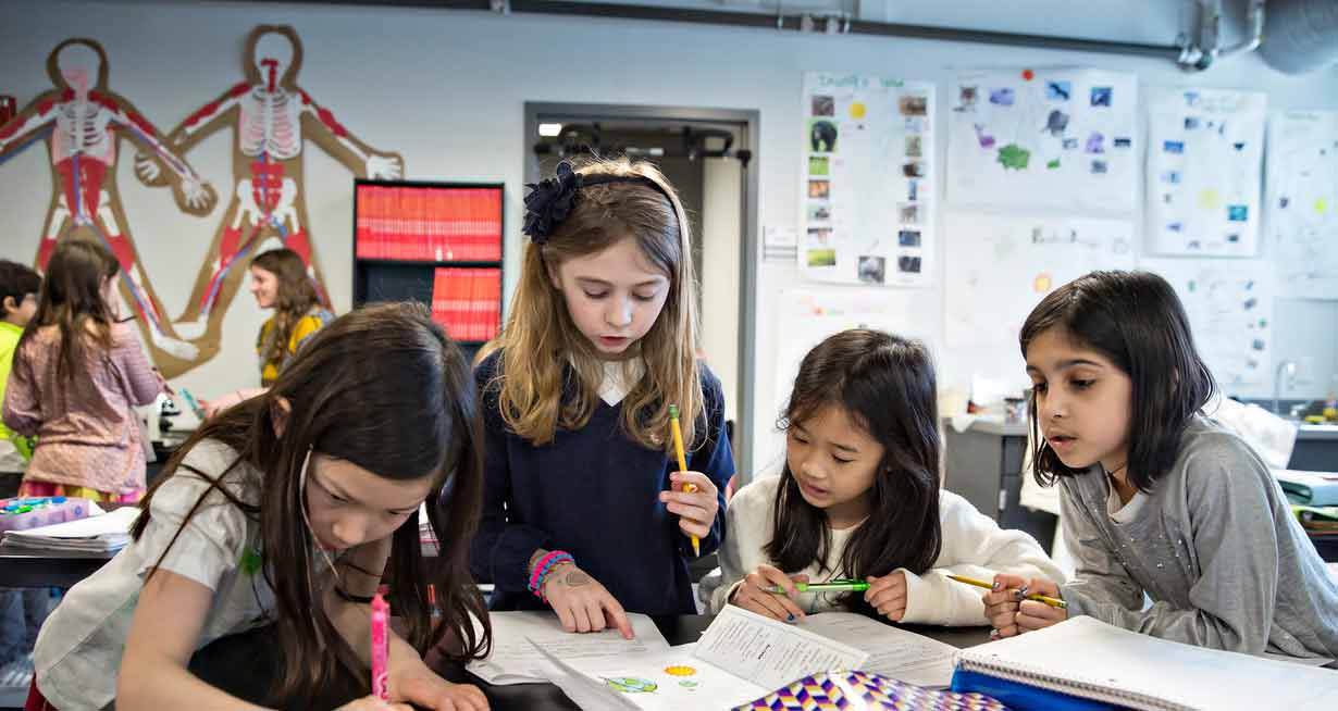 A note about Arizona's highest performing schools | BASIS.ed Vectors