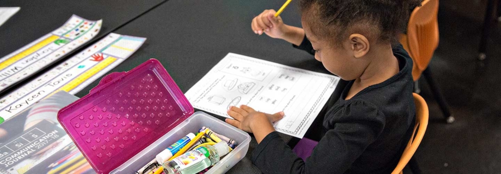 BASIS Goodyear Primary student in class - BASIS.ed Vectors